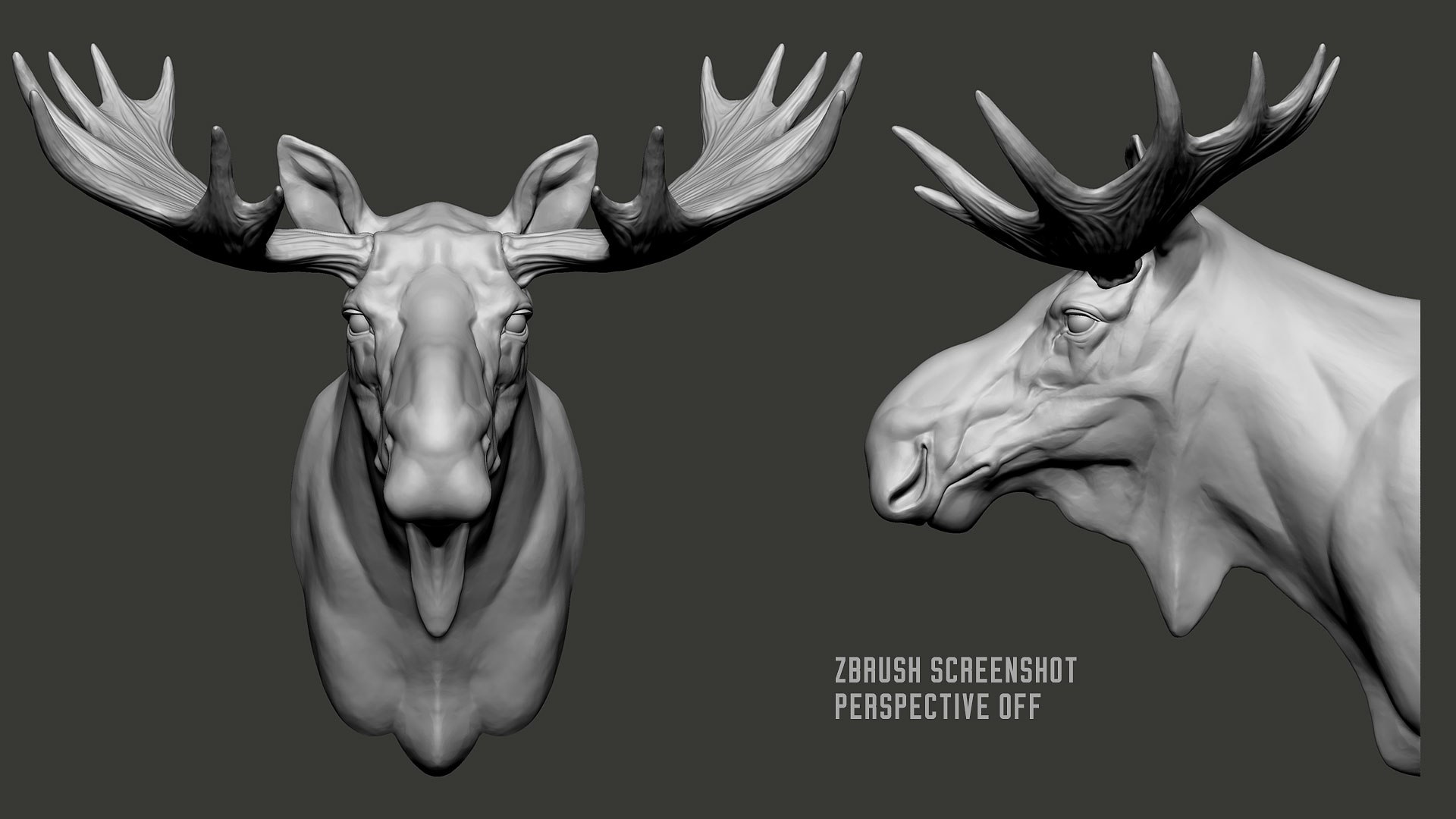 Moose Head Sculpture Antlers 3D Model - TurboSquid 1773559