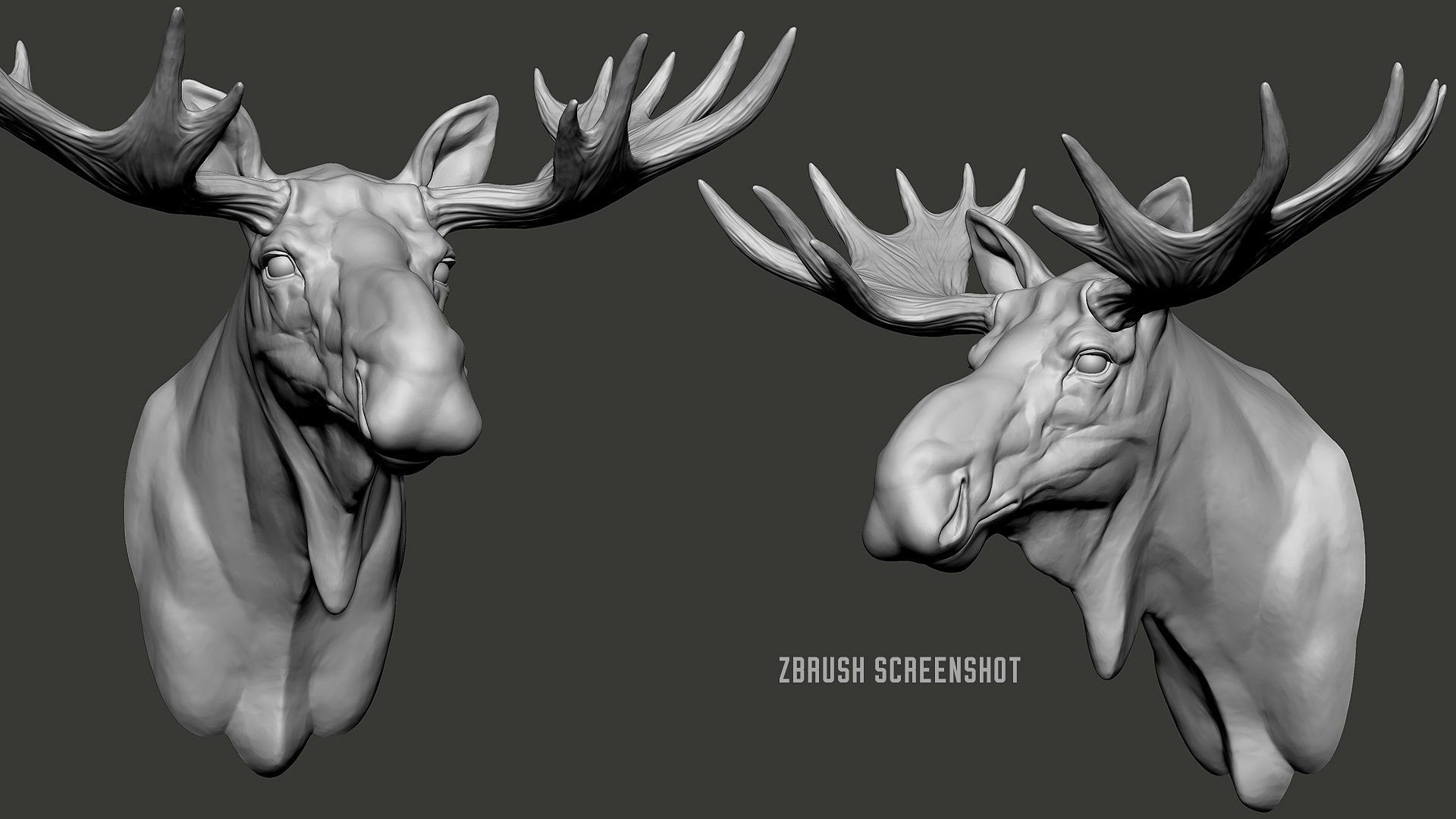 Moose Head Sculpture Antlers 3D Model - TurboSquid 1773559