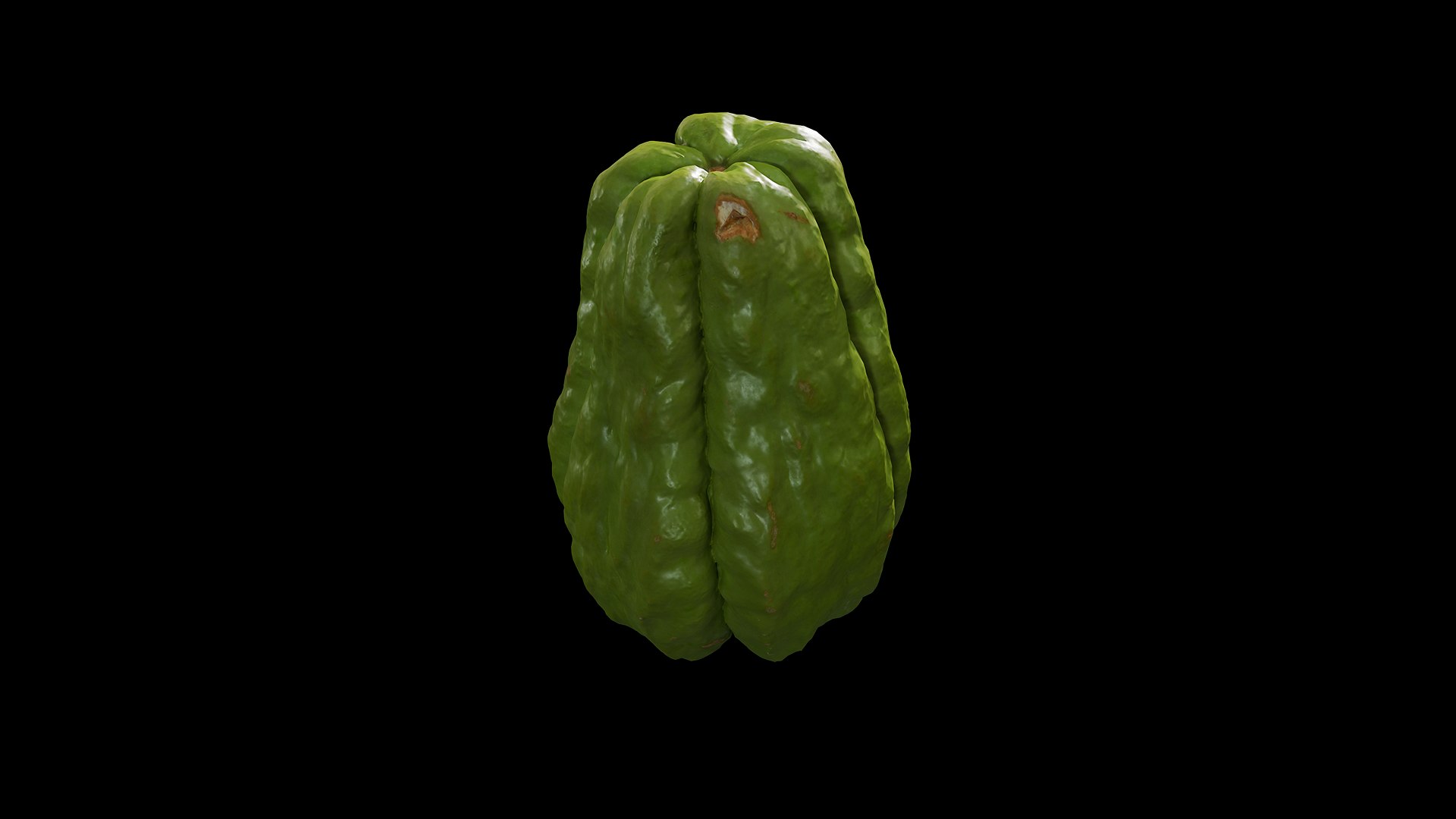 Anydrafts Sechium Edule 01 Model - TurboSquid 2322981