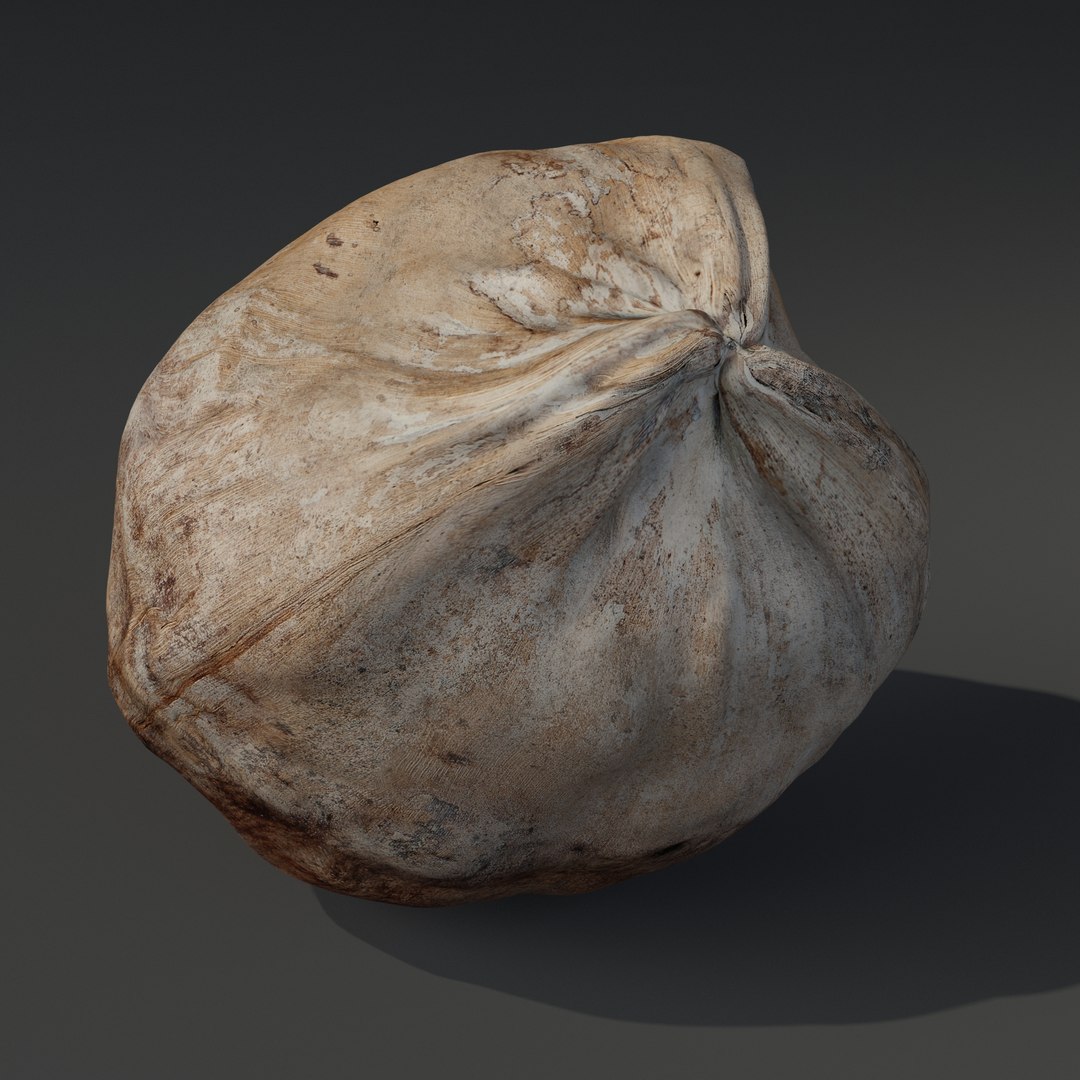 3ds max realistic coconut old