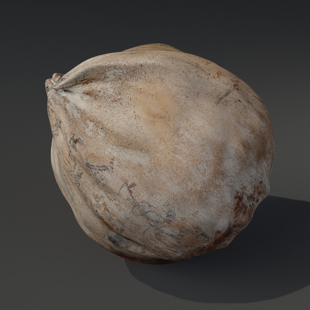 3ds max realistic coconut old