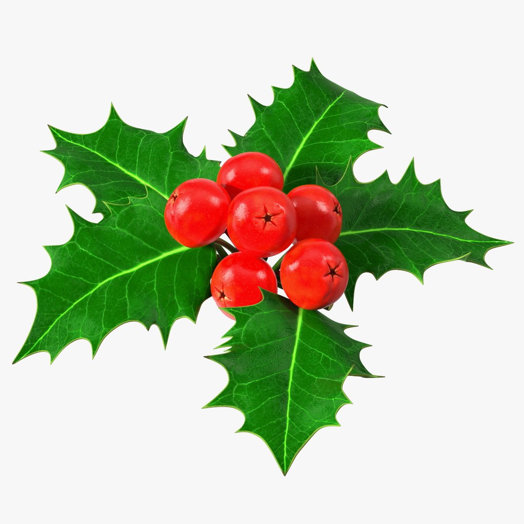 3D Christmas Decoration Sprig Holly model - TurboSquid 2076127