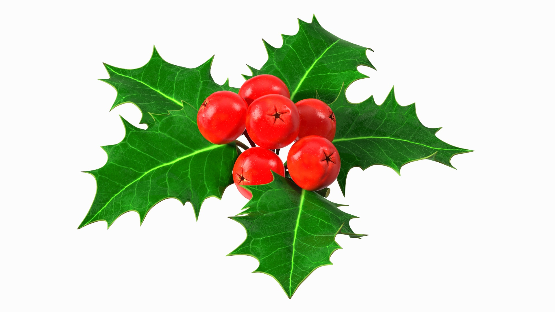 3D Christmas Decoration Sprig Holly Model - TurboSquid 2076127