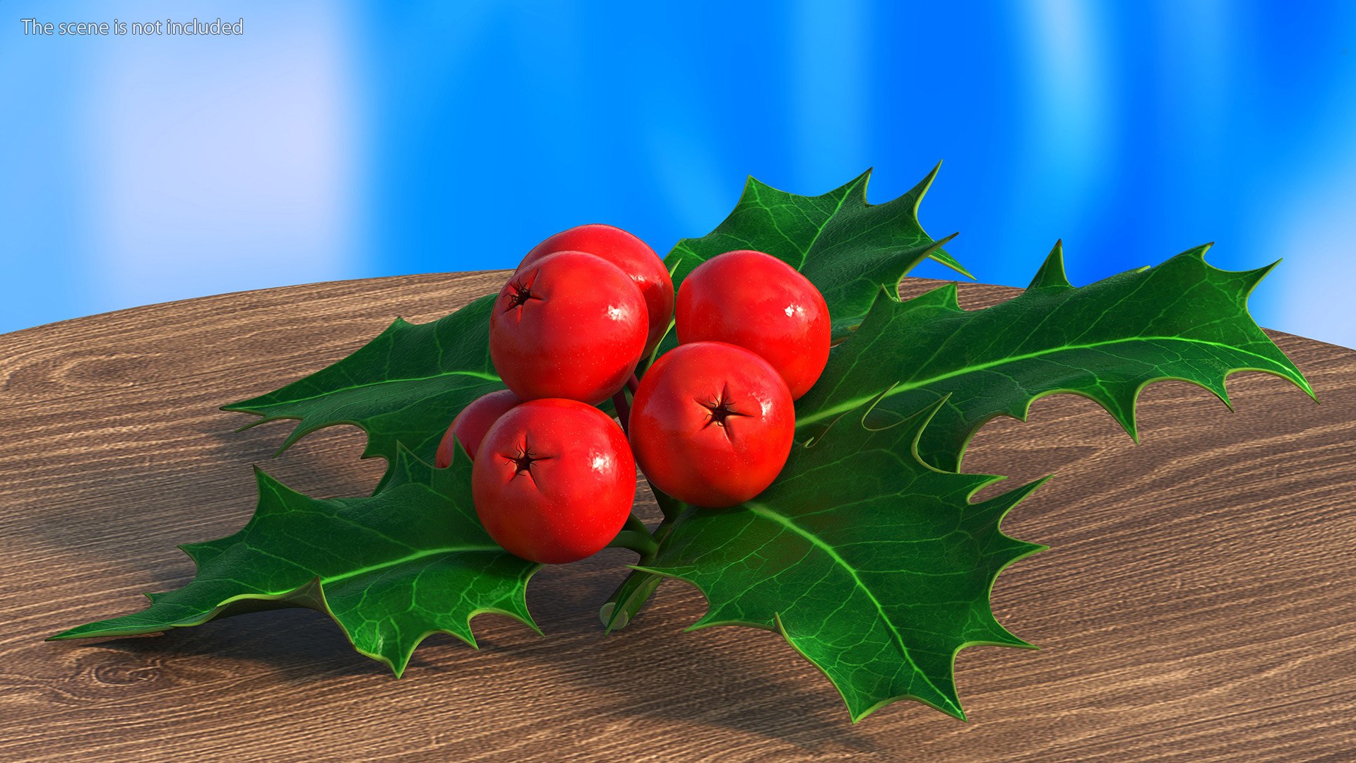 3D Christmas Decoration Sprig Holly Model - TurboSquid 2076127