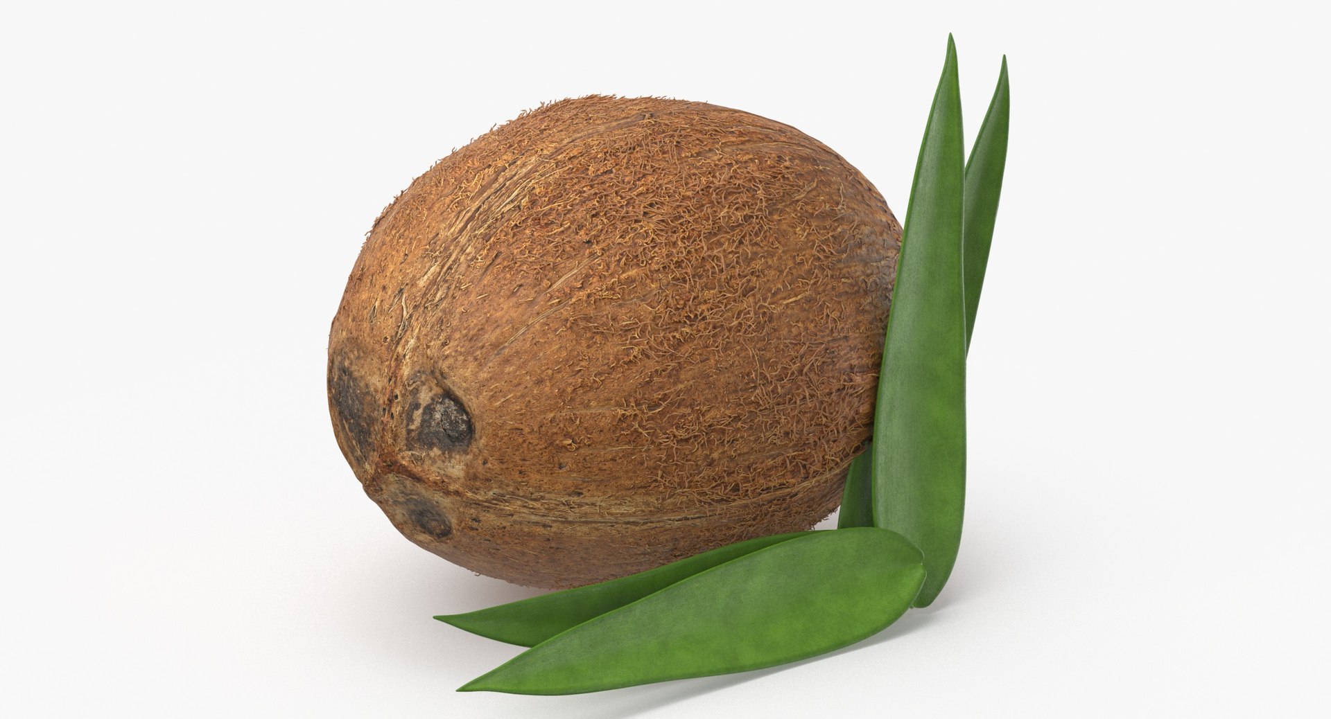 3D Prop 06 Coconut Whole - TurboSquid 2143050