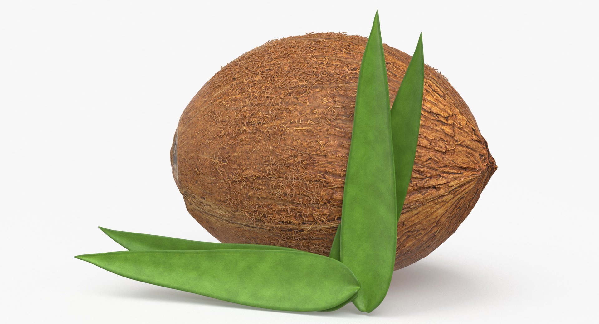 3D Prop 06 Coconut Whole - TurboSquid 2143050