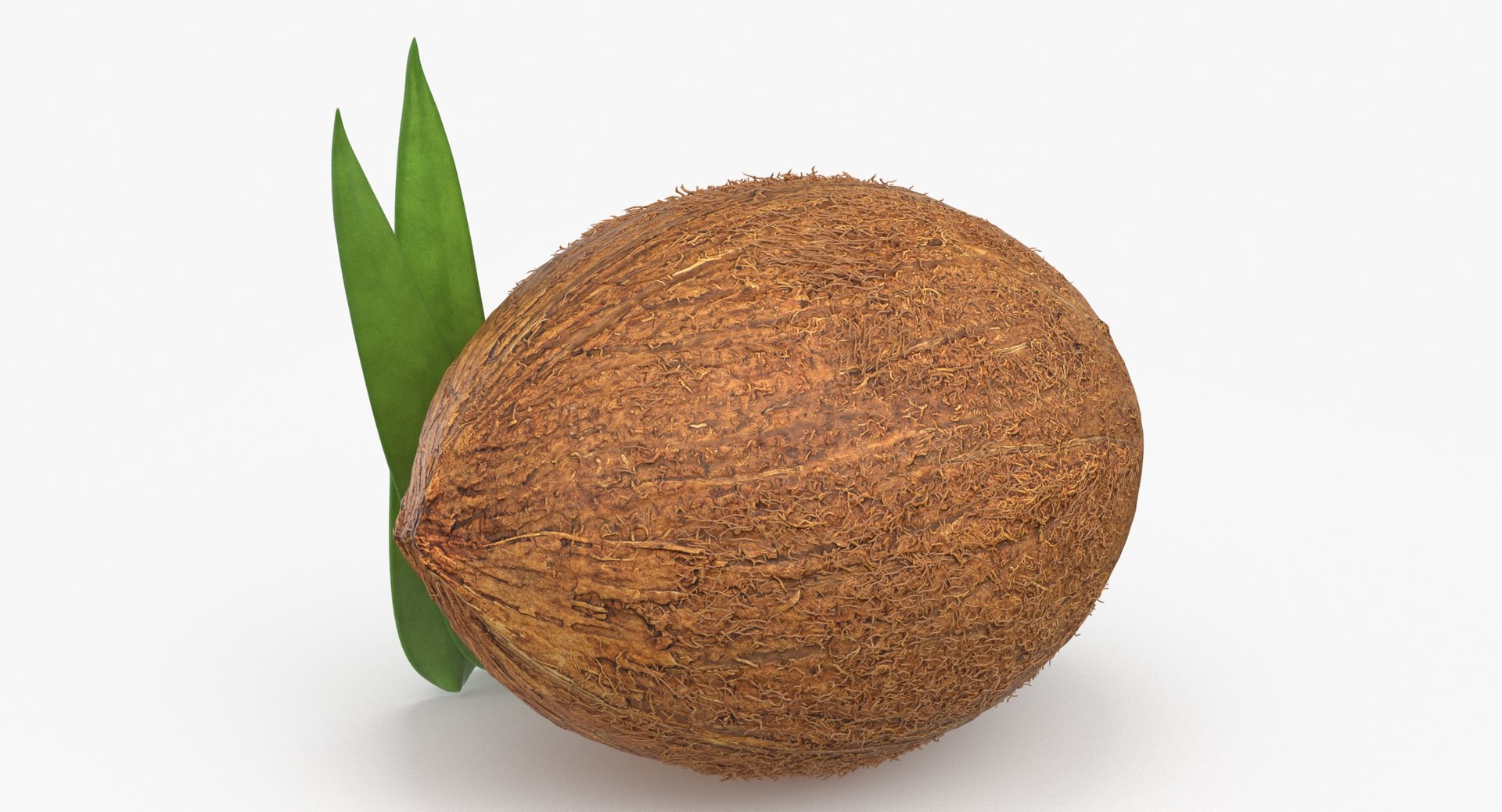 3D Prop 06 Coconut Whole - TurboSquid 2143050