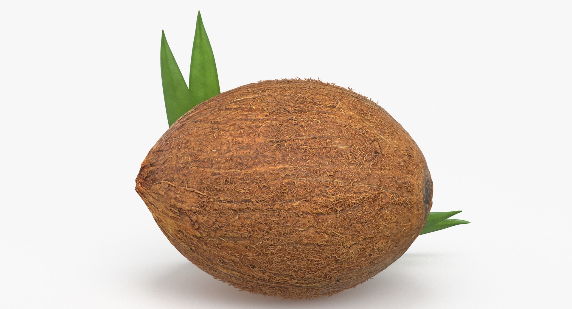 3D Prop 06 Coconut Whole - TurboSquid 2143050