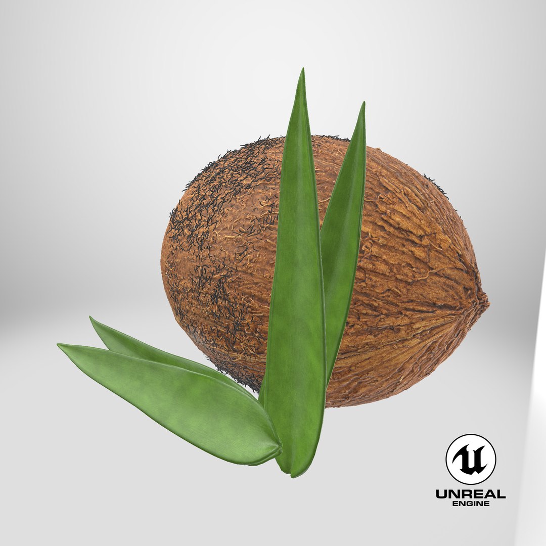 3D Prop 06 Coconut Whole - TurboSquid 2143050