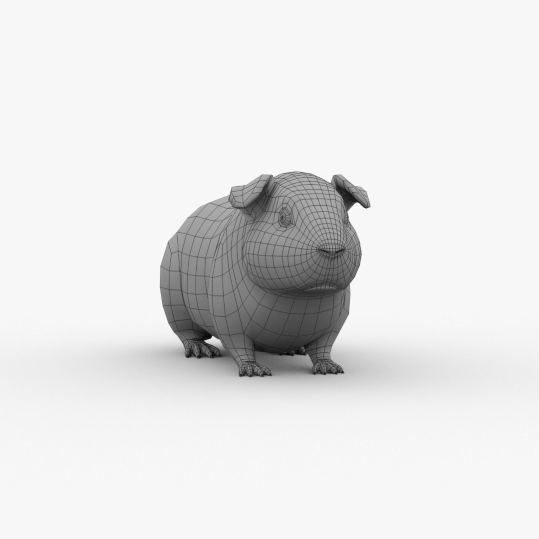 modelo 3d guinea pig basemesh - TurboSquid 2006935