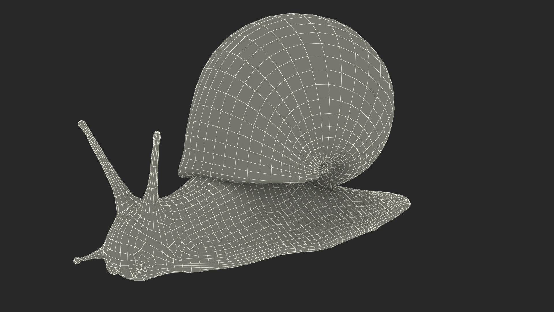 Garden Snail Rigged 3D Model - TurboSquid 2184747