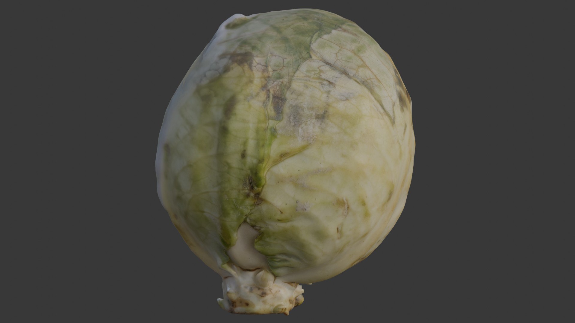 3D Whole Green Cabbage Scan - TurboSquid 2435131