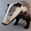 3ds European Badger