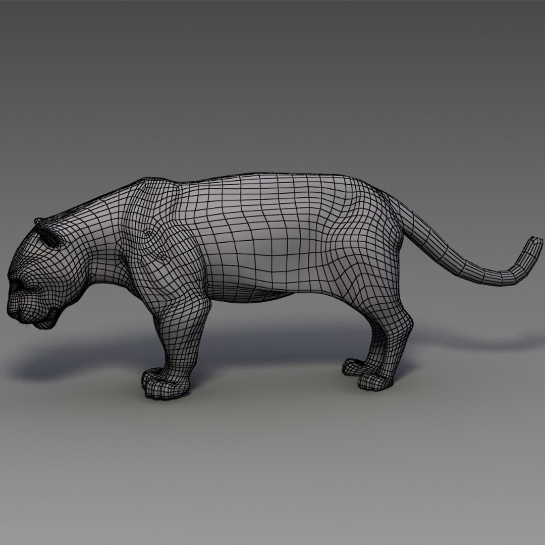 3d Wild Cats Feline Model
