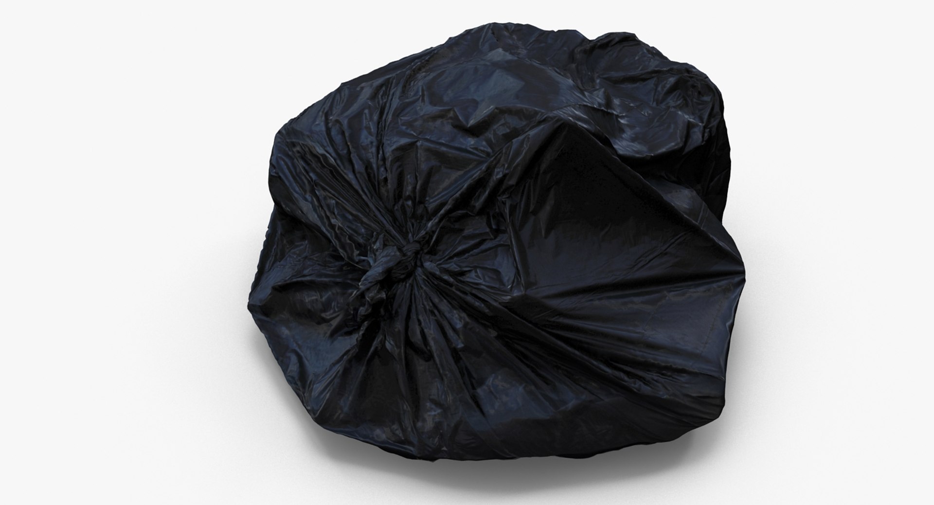 Bin Bag 3d Model