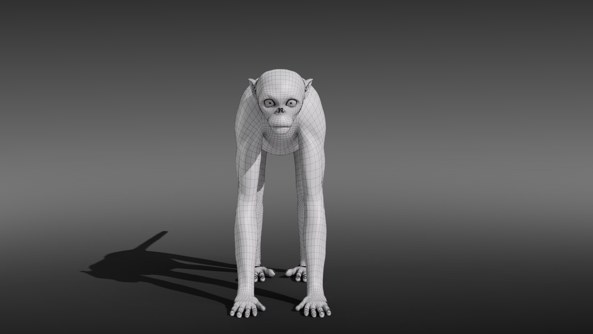 3D Rhinopithecus Roxellana Animation - TurboSquid 1665206