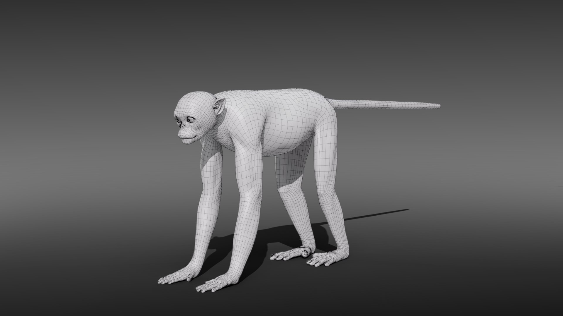 3D Rhinopithecus Roxellana Animation - TurboSquid 1665206