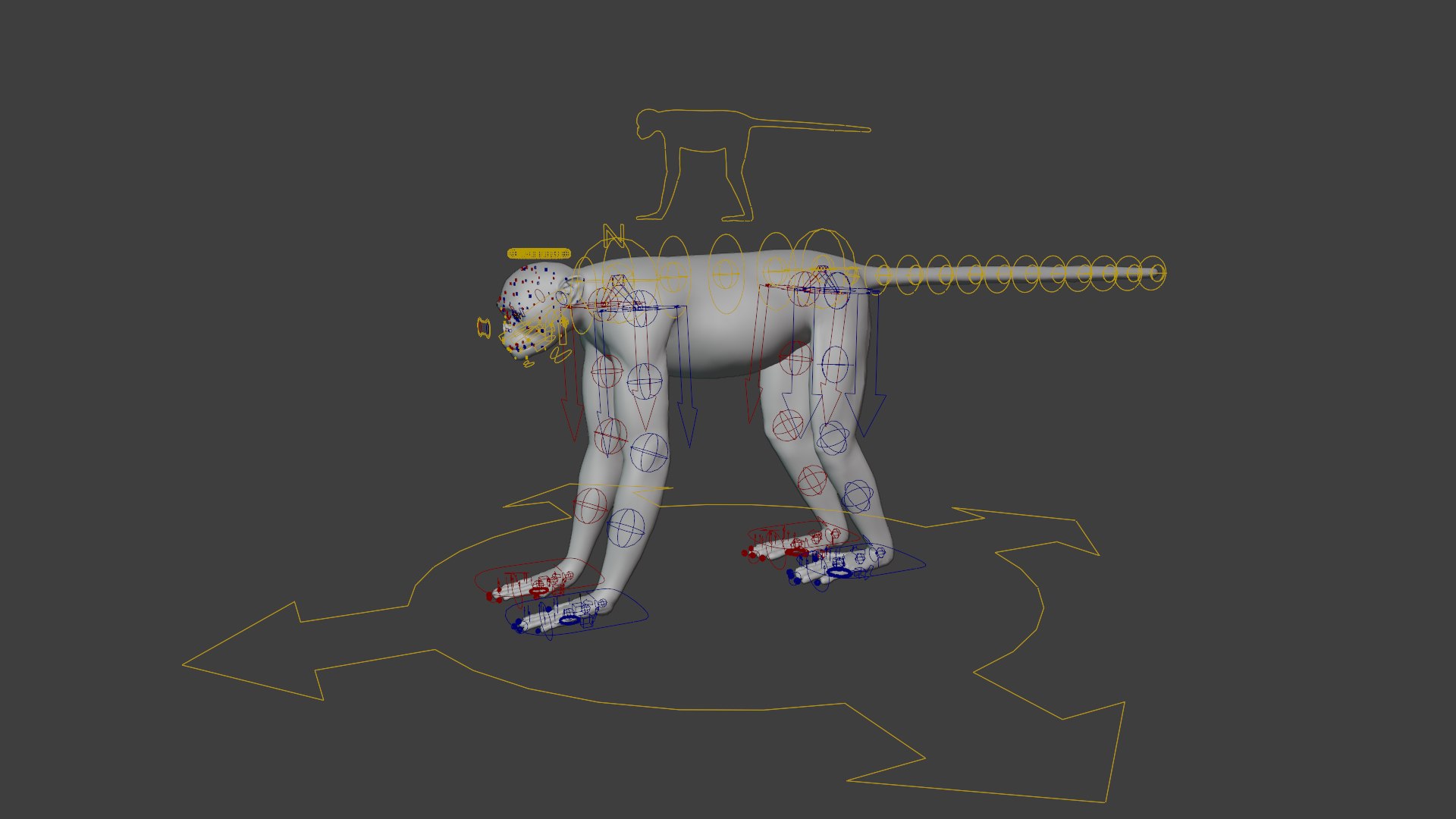 3D Rhinopithecus Roxellana Animation - TurboSquid 1665206