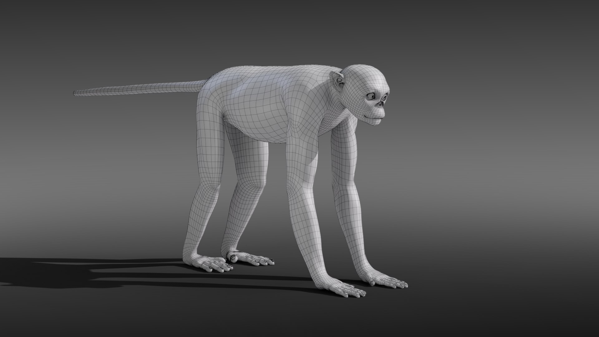 3D Rhinopithecus Roxellana Animation - TurboSquid 1665206