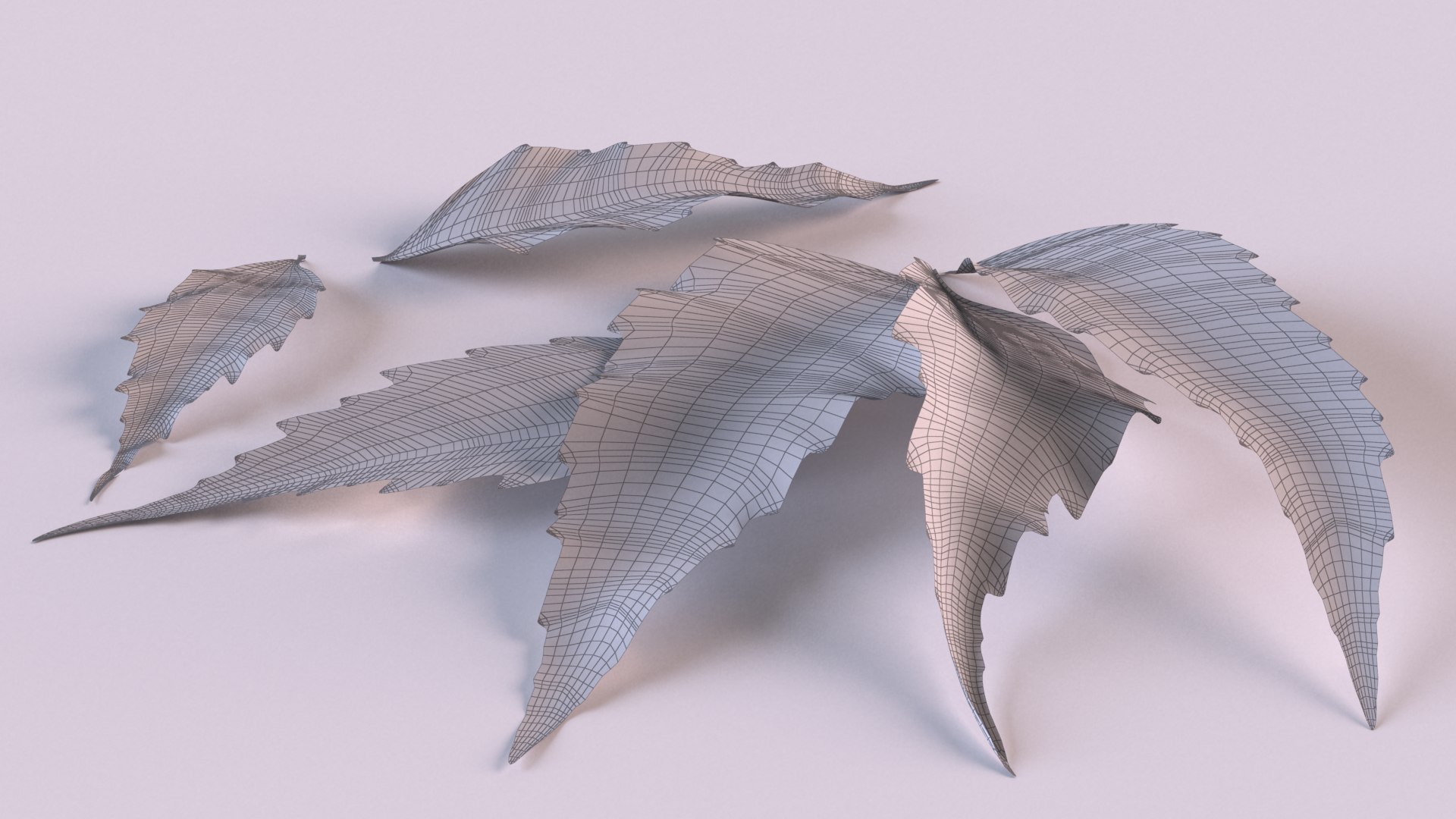 Neem Leaves 3D Model - TurboSquid 1906762