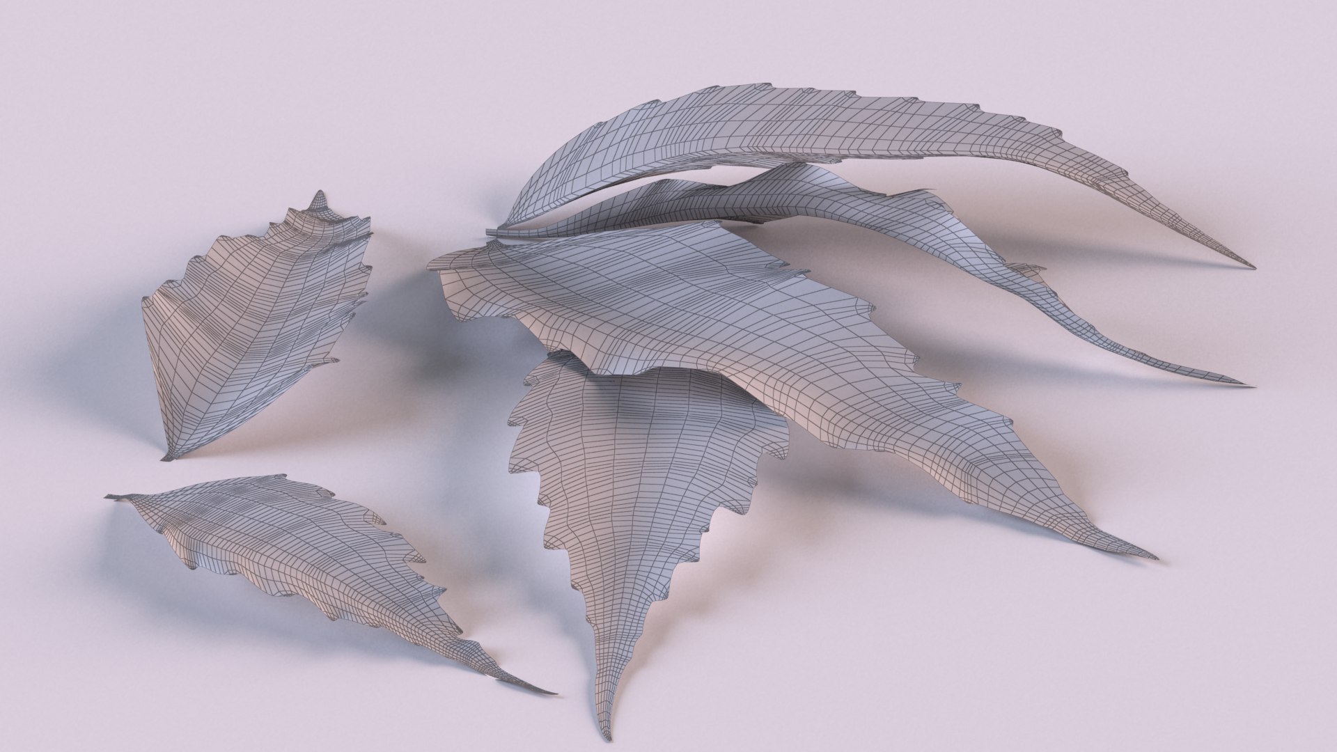 Neem Leaves 3D Model - TurboSquid 1906762