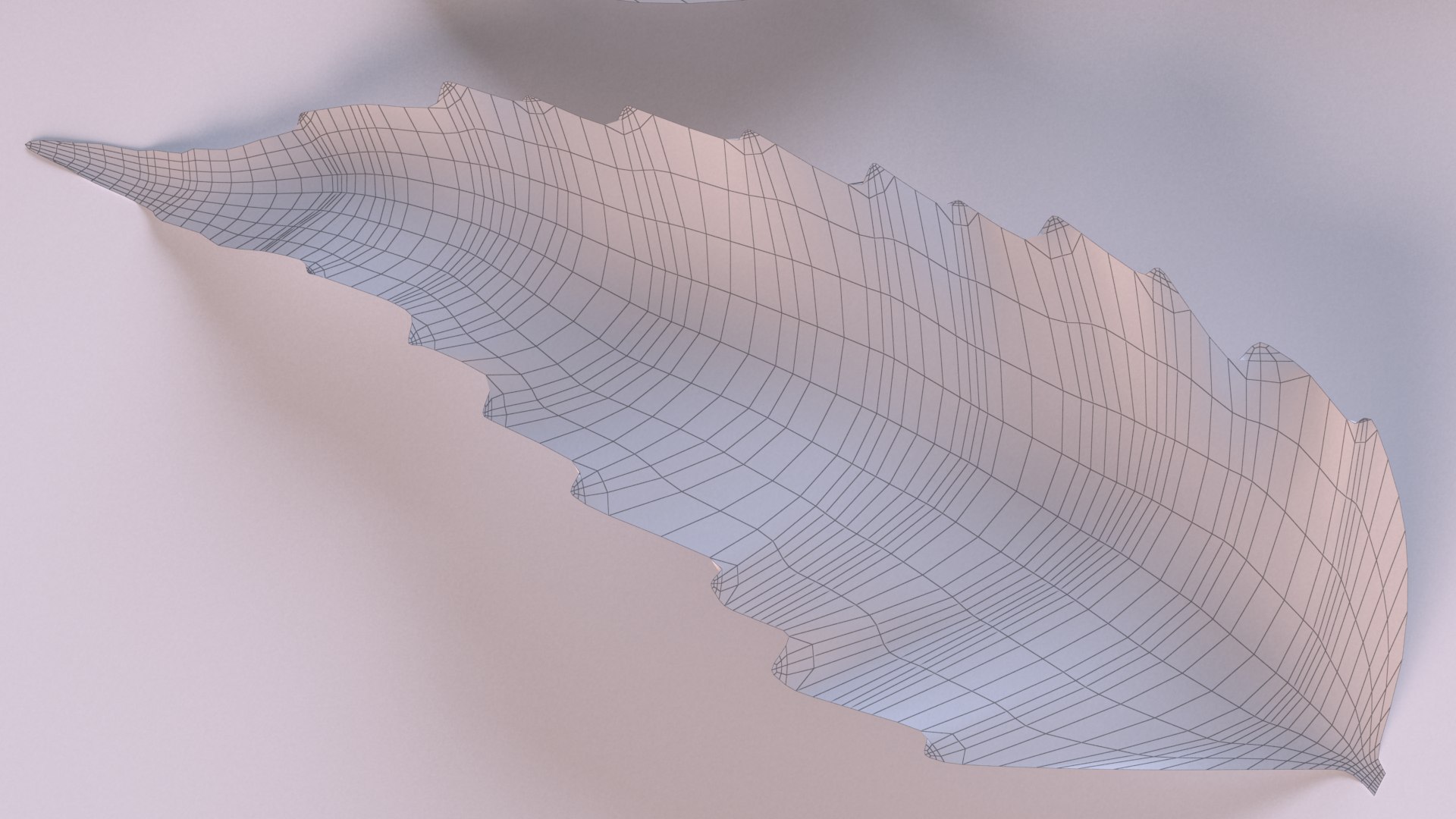 Neem Leaves 3D Model - TurboSquid 1906762