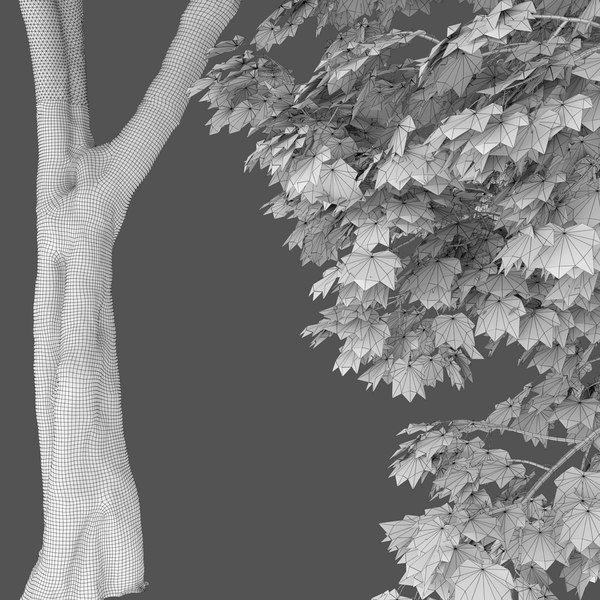 3D tree maple model - TurboSquid 1692671