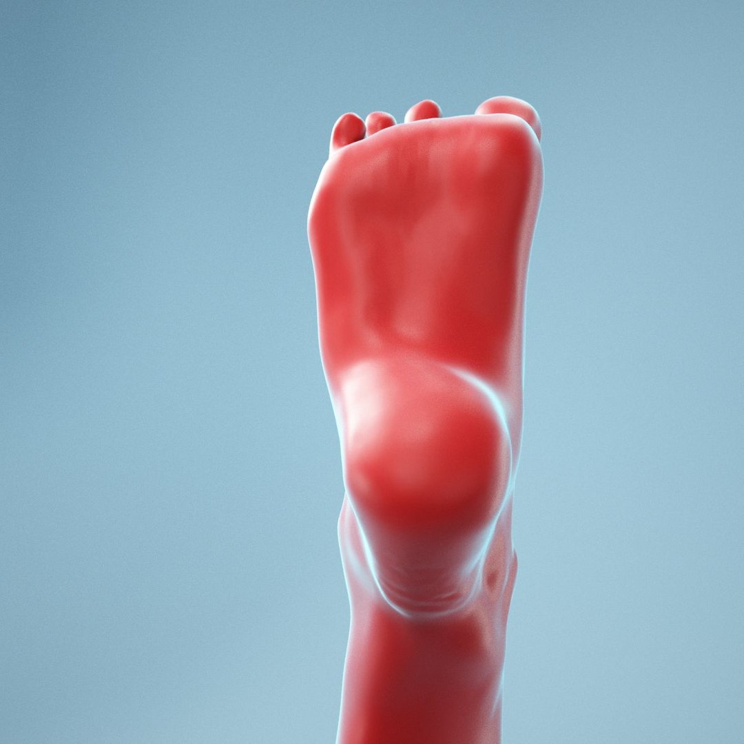 Female Hand 3D - TurboSquid 1451730