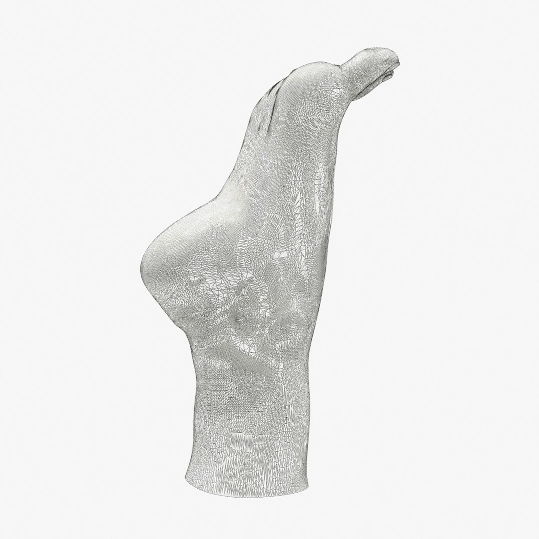 Female Hand 3D - TurboSquid 1451730