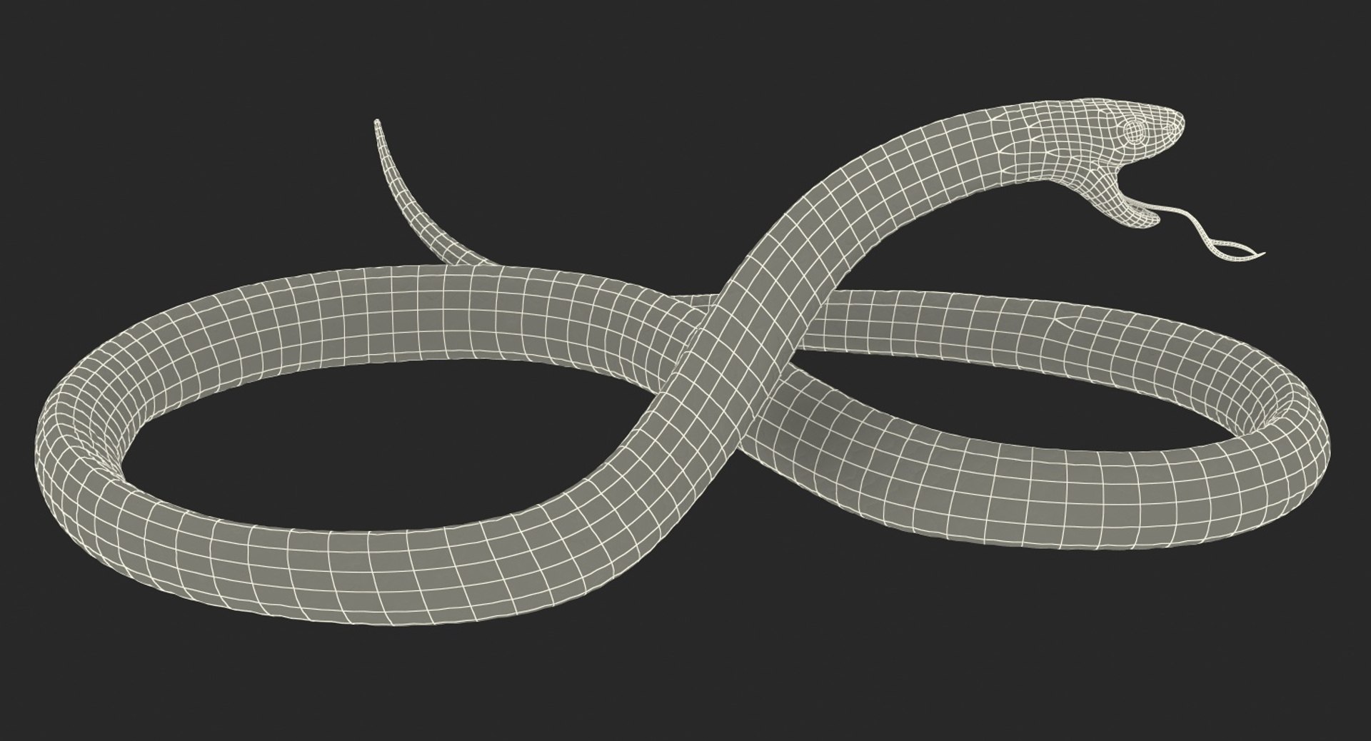 Snakes Rigged For Maya Collection 3D Model - TurboSquid 2520156