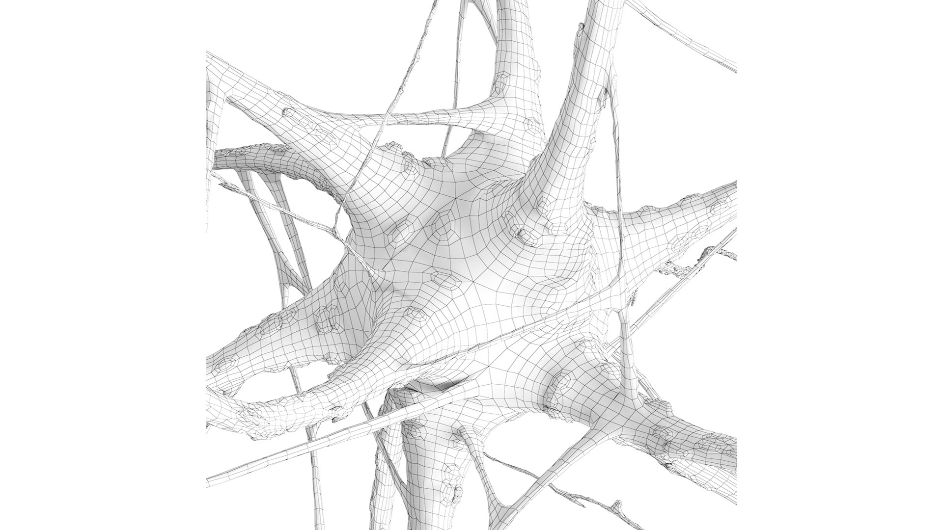 Nerve Cell 3D Model - TurboSquid 1925264