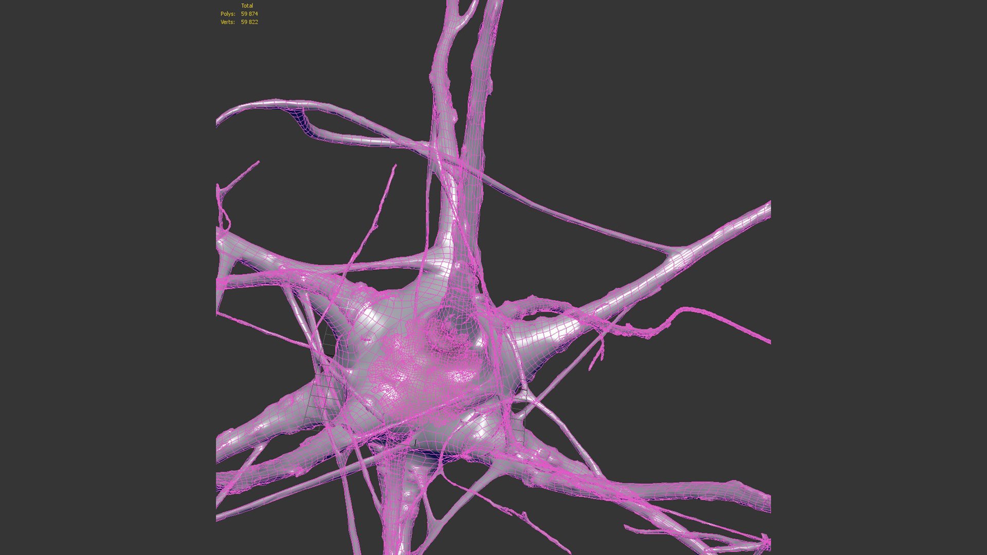 Nerve Cell 3D Model - TurboSquid 1925264