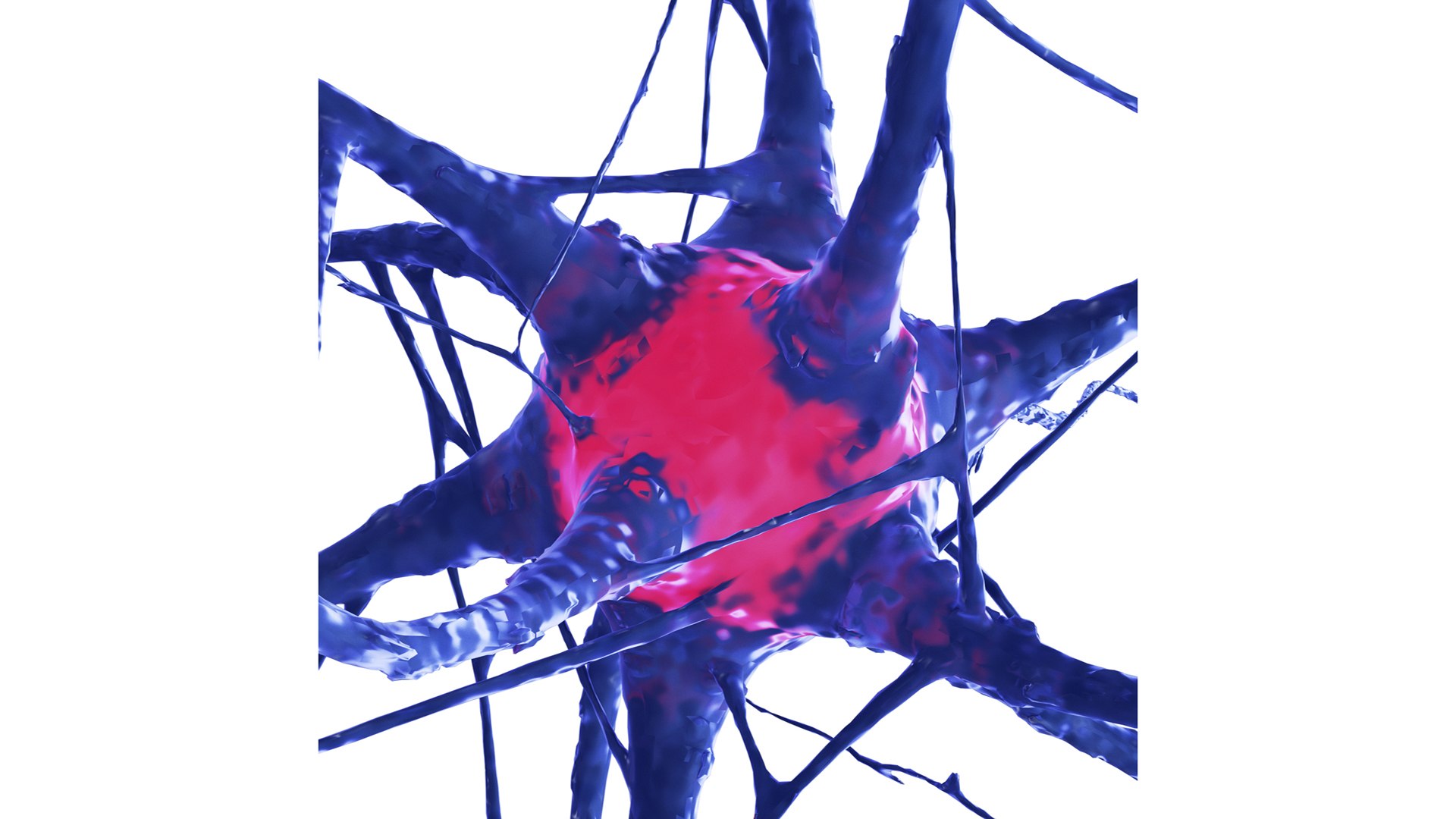 Nerve Cell 3D Model - TurboSquid 1925264