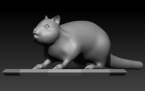 Chipmunk 3D Models for Download | TurboSquid