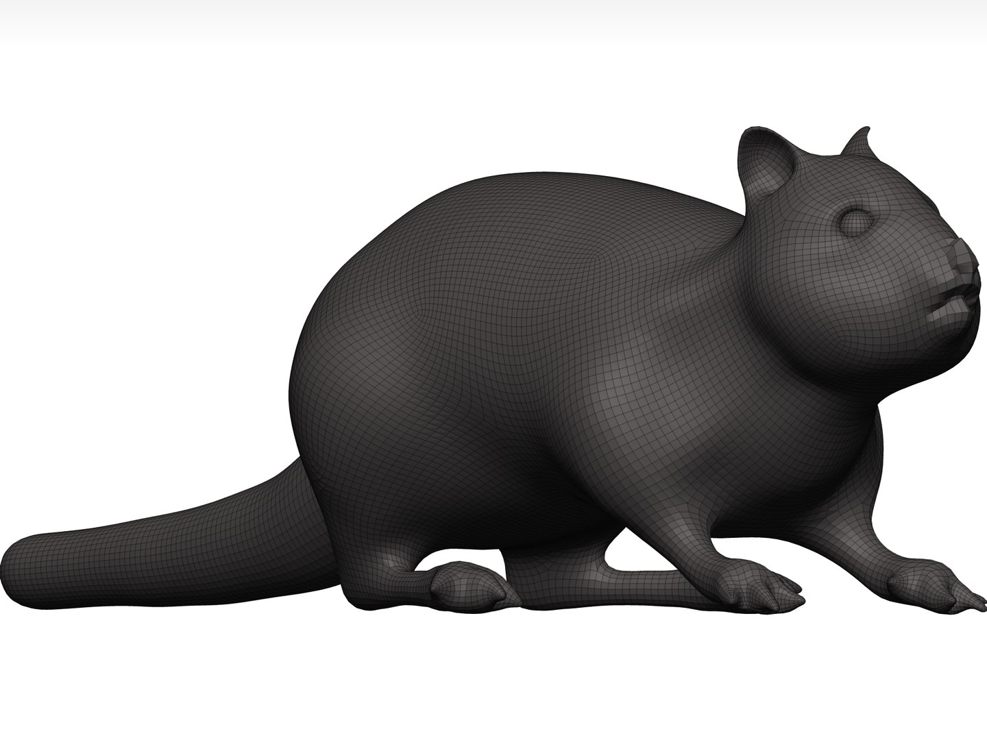 3D model Chipmunk Stl - TurboSquid 1774144