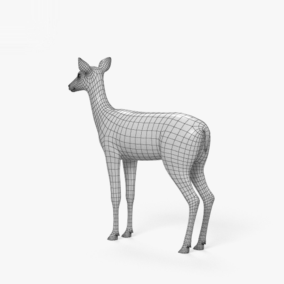 Doe Deer Mammal 3D Model - TurboSquid 1438582