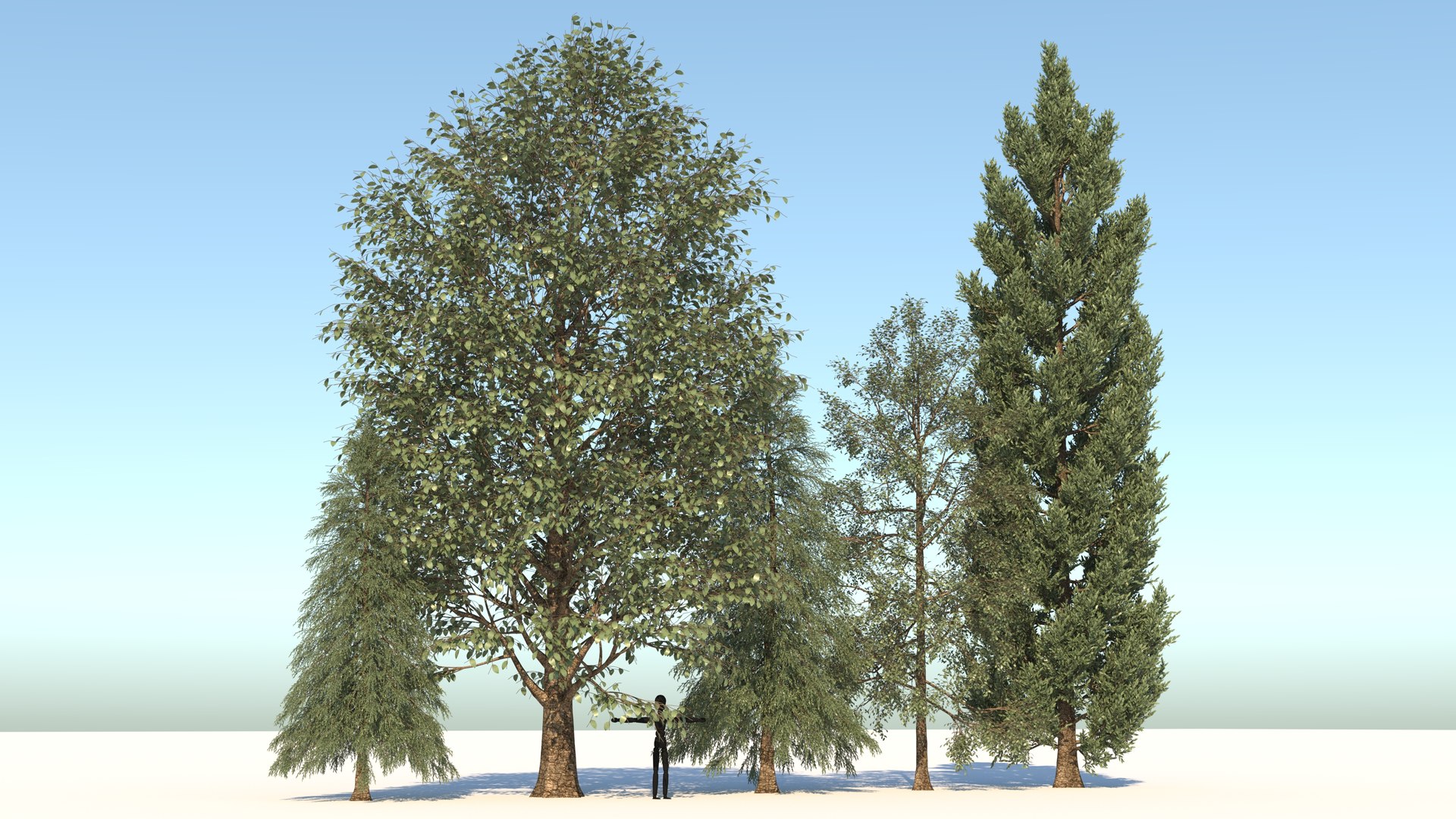 Realistic Seasonal Tree Leaves 3D - TurboSquid 1669417