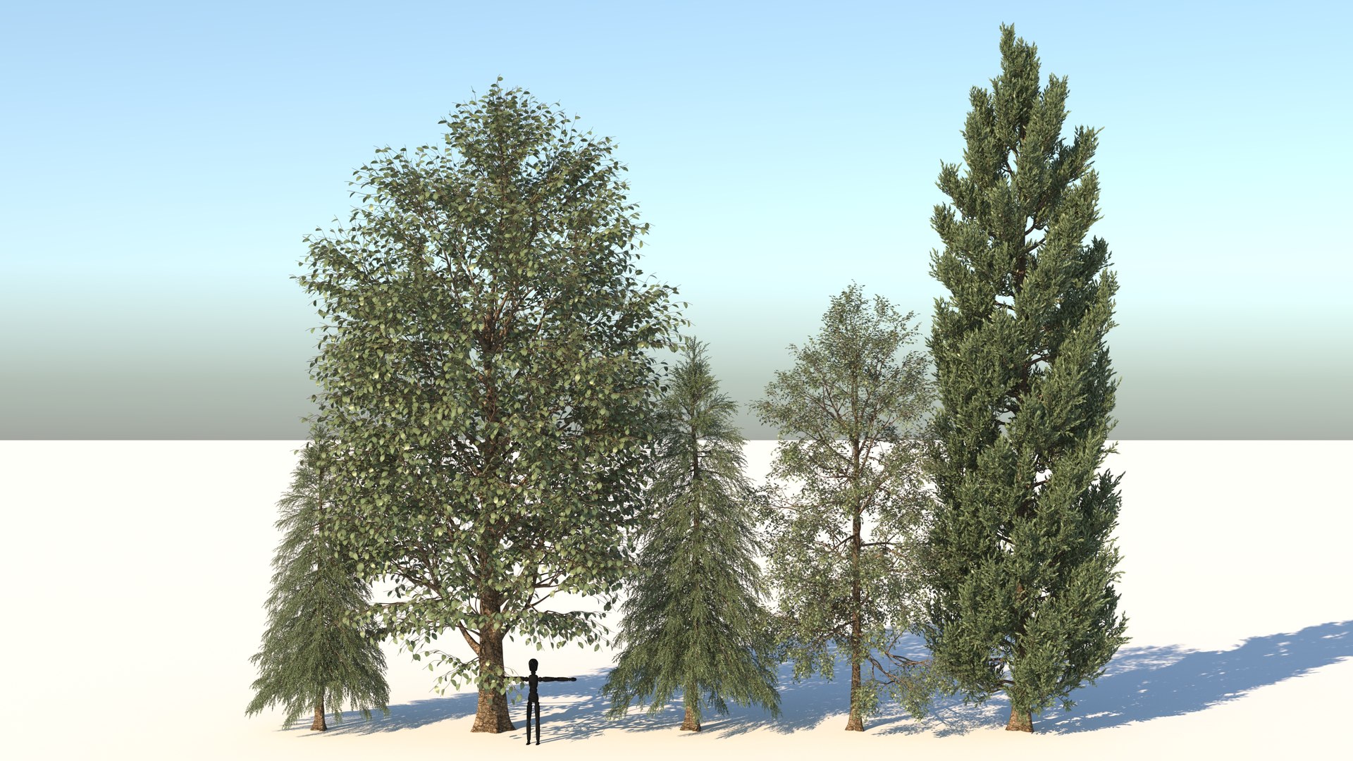 Realistic Seasonal Tree Leaves 3D - TurboSquid 1669417