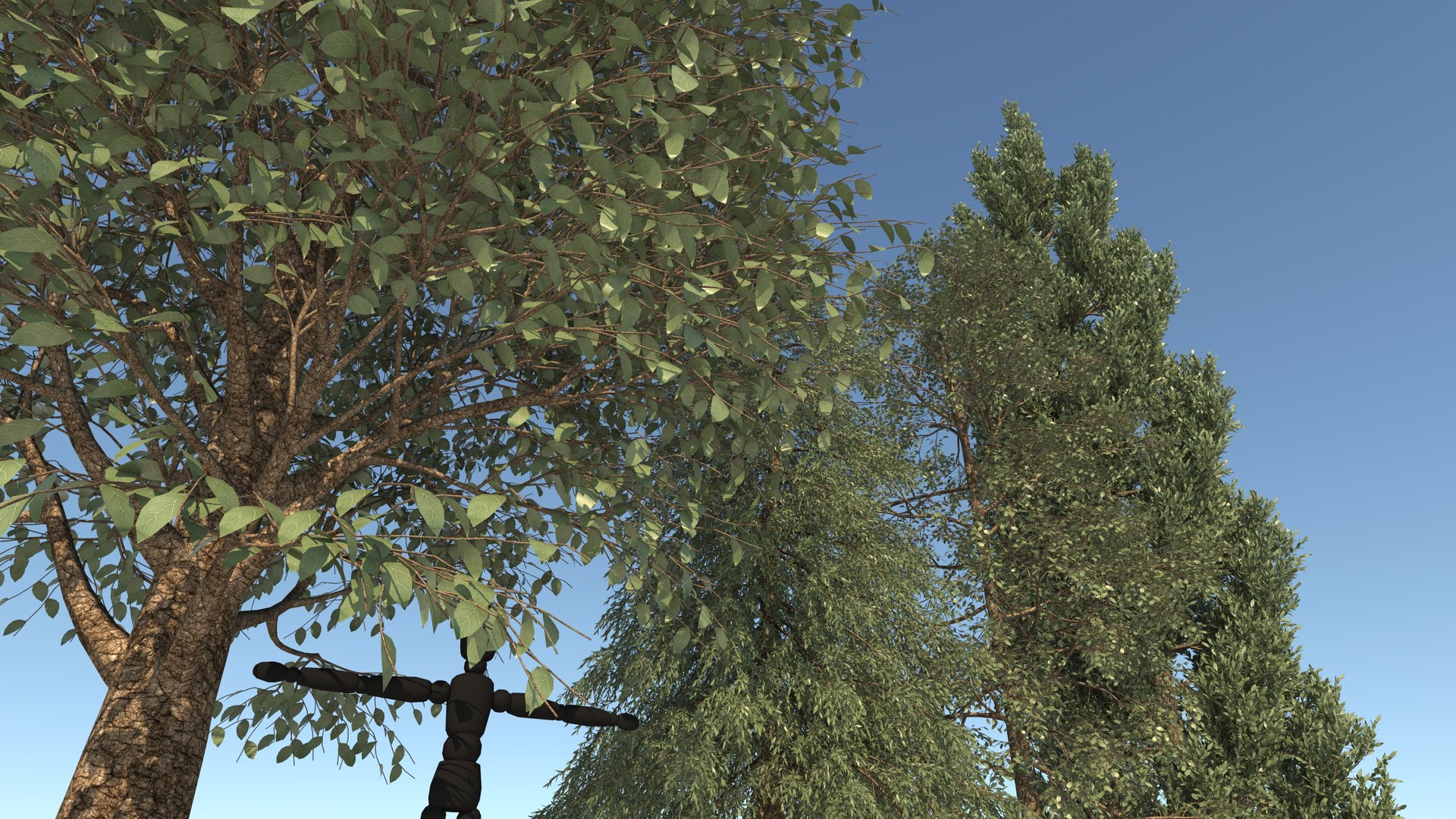 Realistic Seasonal Tree Leaves 3D - TurboSquid 1669417