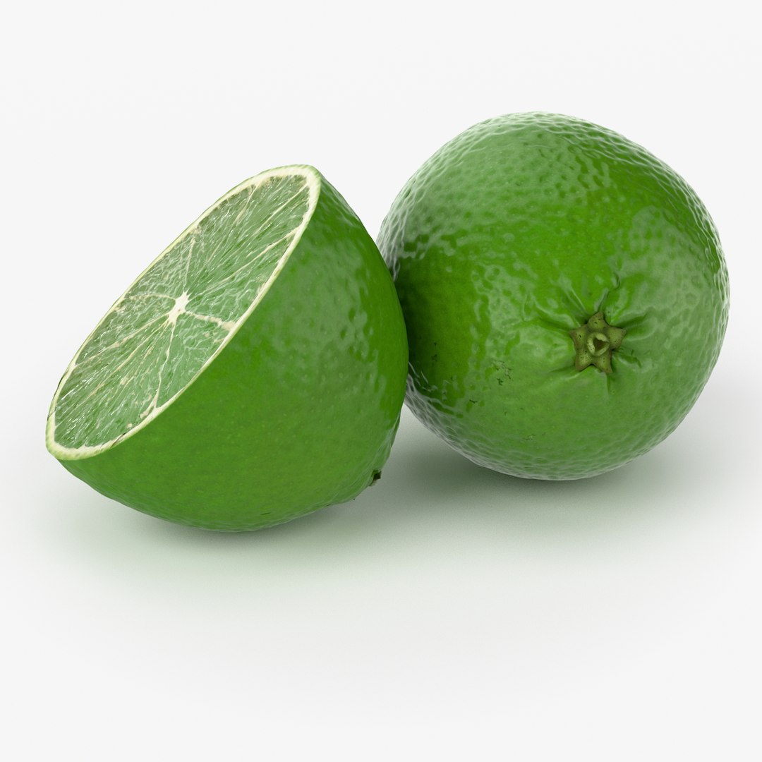 Realistic Lime Fruit Real 3d Model