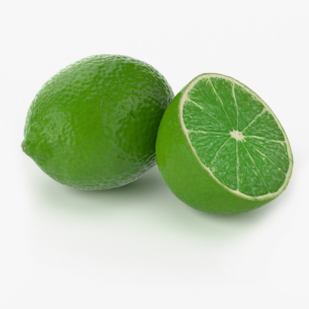 Realistic Lime Fruit Real 3d Model