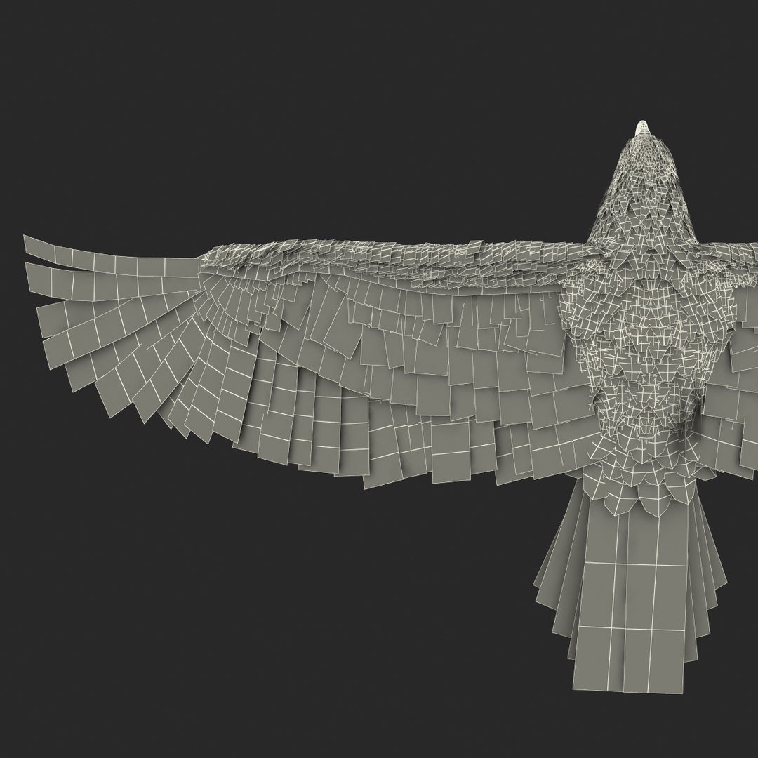 Obj Golden Eagle Pose 4