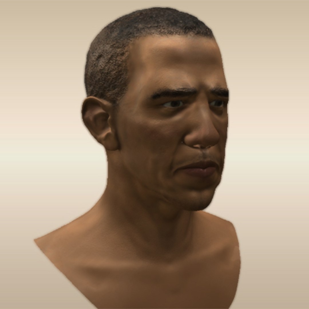 3d Head President Obama
