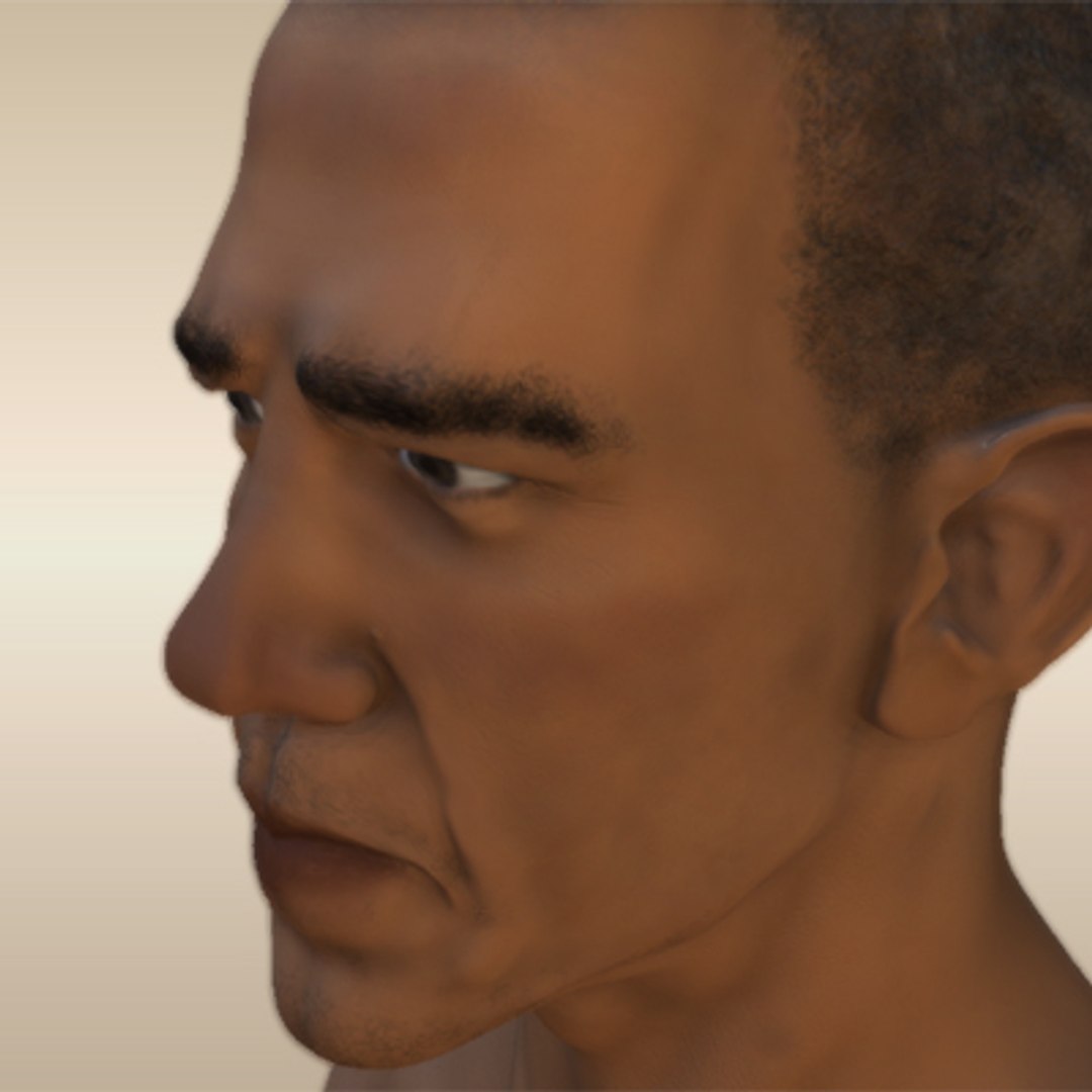 3d Head President Obama