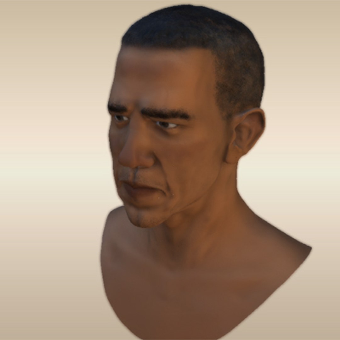 3d Head President Obama