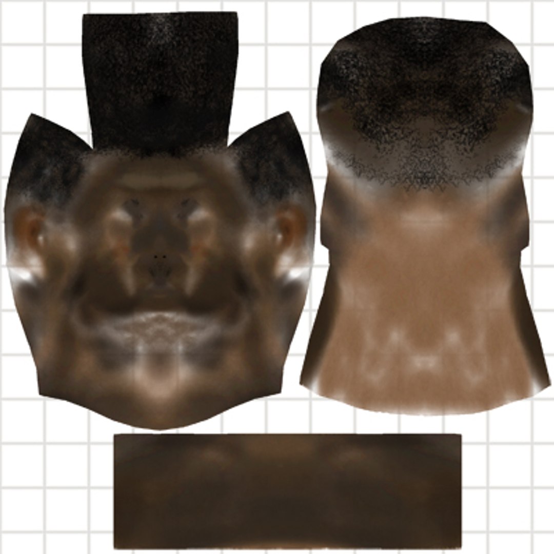 3d Head President Obama