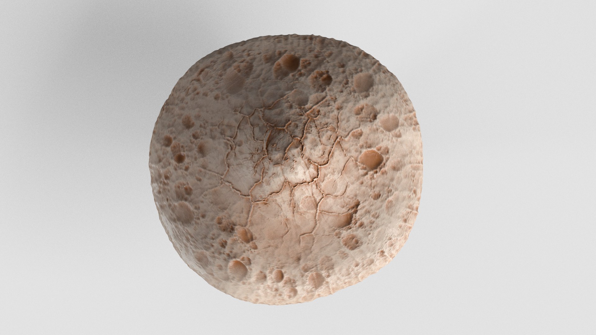 3D Mushroom Nature Fungus Model - TurboSquid 1369175