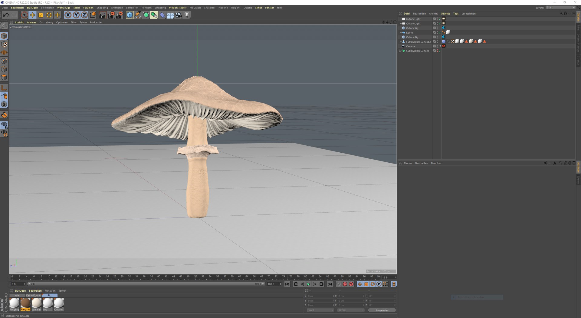 3D Mushroom Nature Fungus Model - TurboSquid 1369175