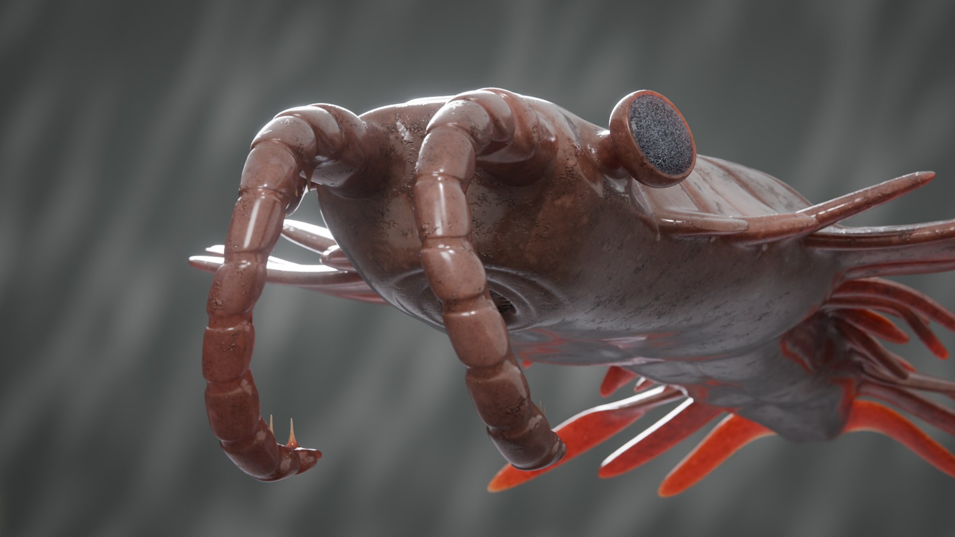 3D Anomalocaris 3D Model Model - TurboSquid 2326595