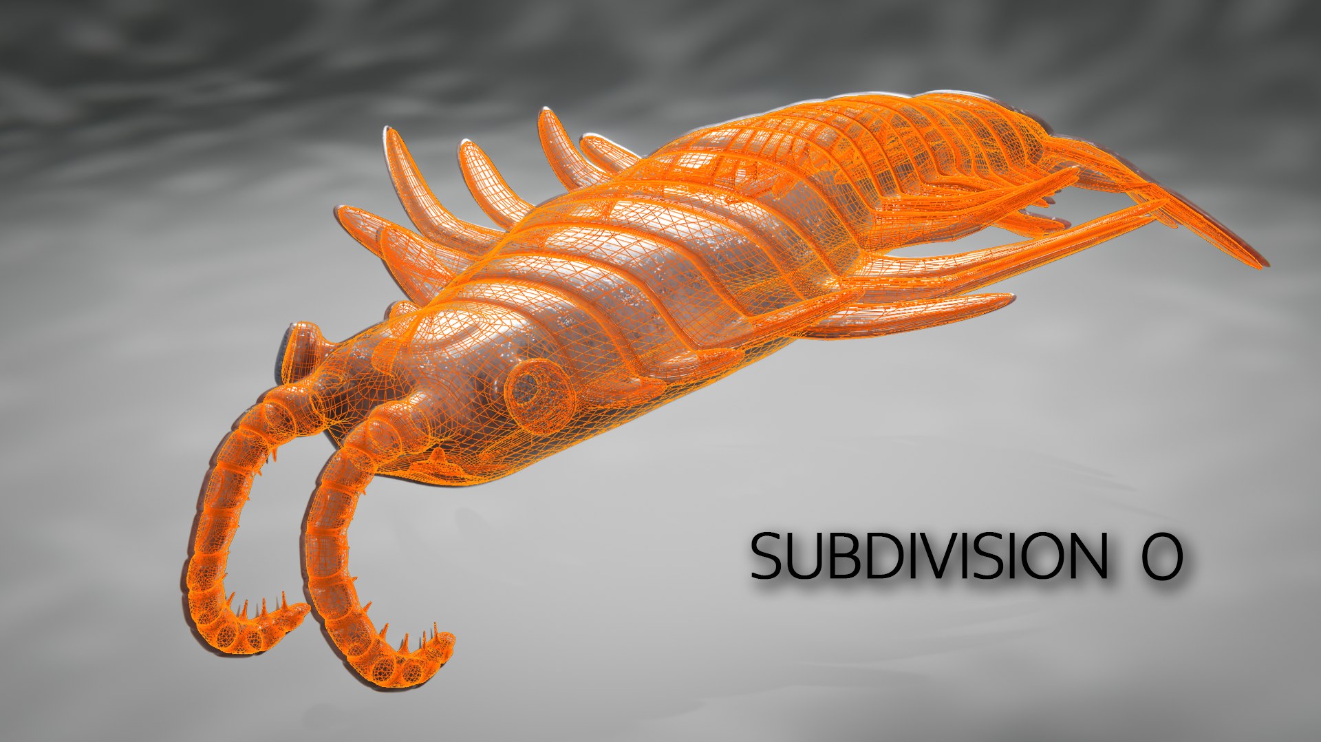 3D Anomalocaris 3D Model Model - TurboSquid 2326595